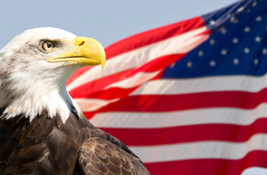Ardent Eagle Solutions, providing technical services that protect our nation