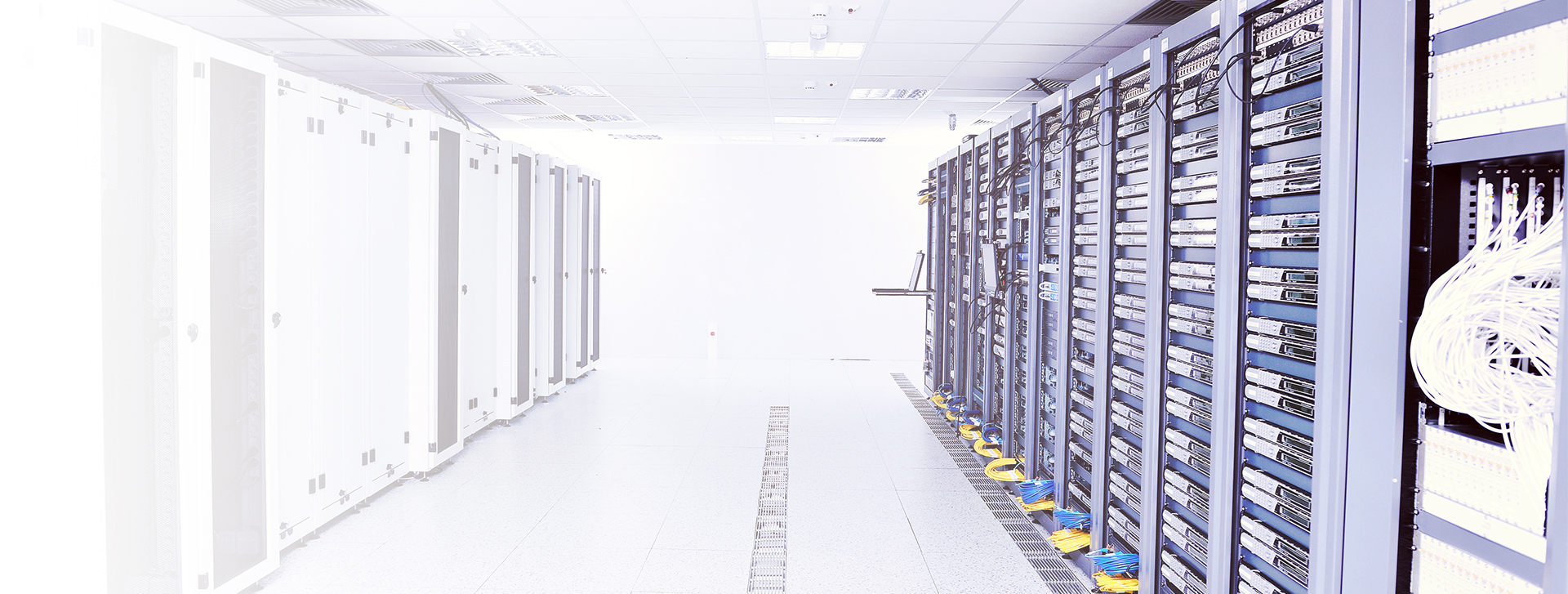 Intelligence and Data Ingest - Ardent Eagle Solutions